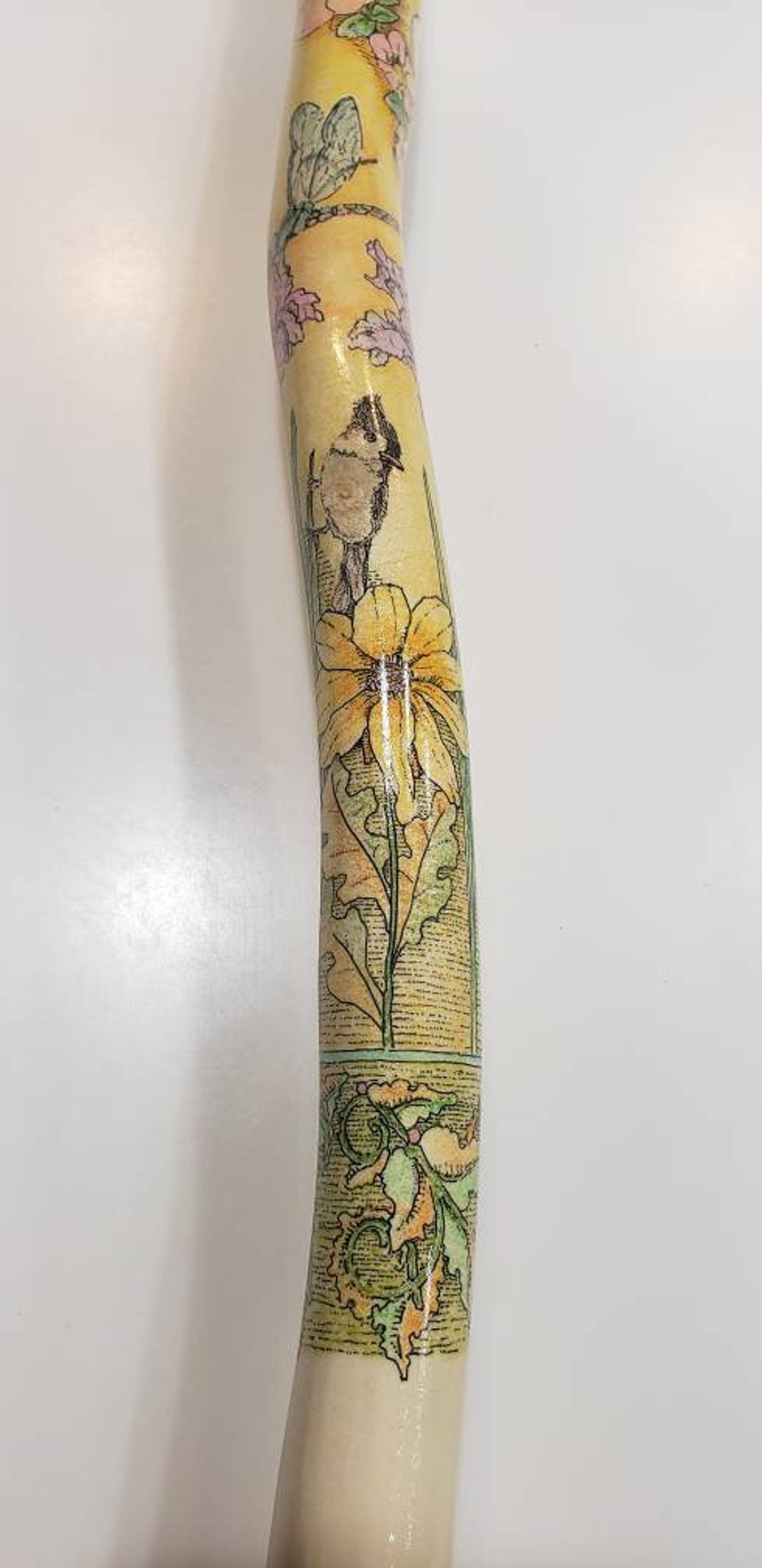 Ever Spring Cane or Walking Stick - Etsy