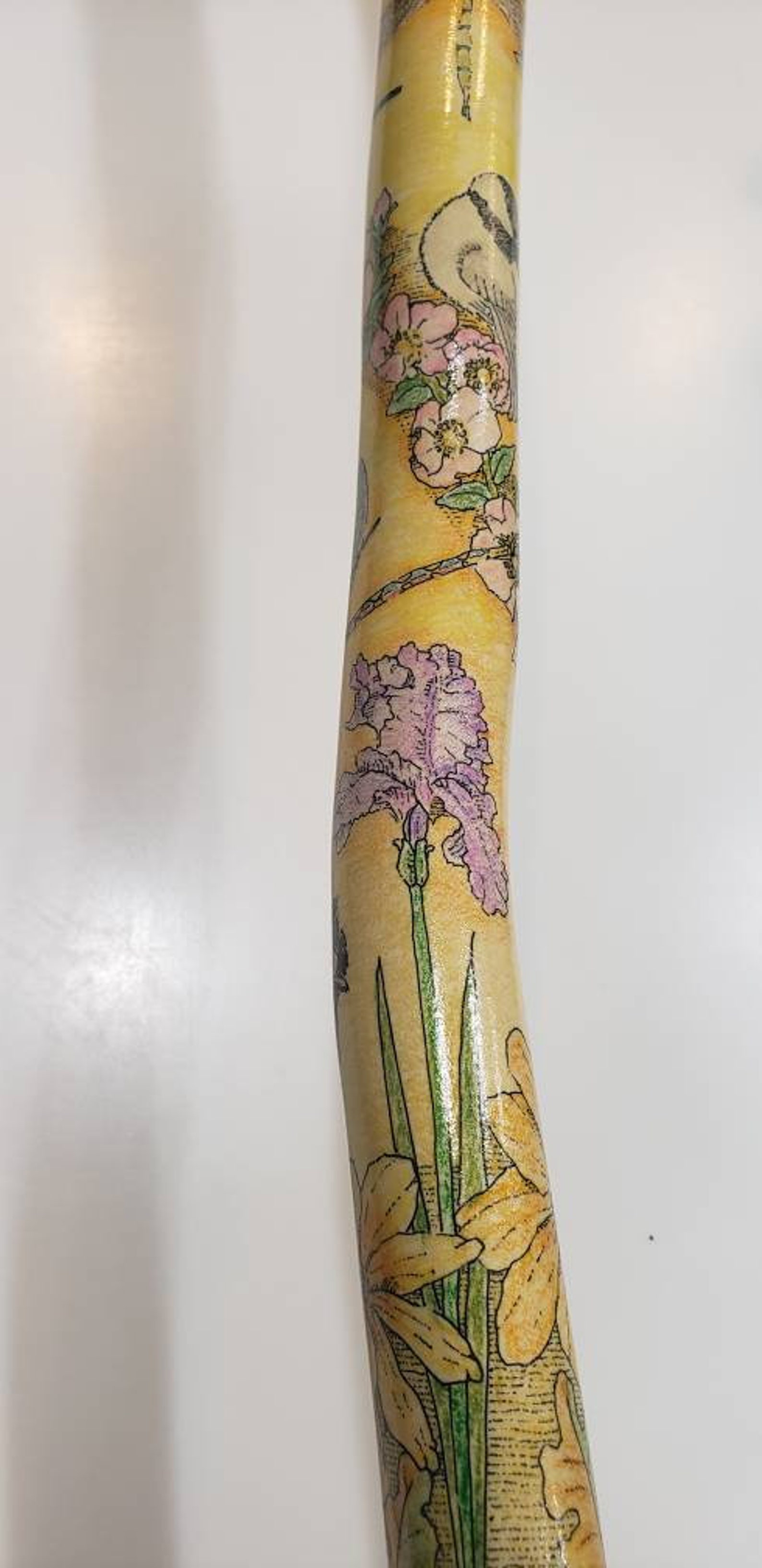 Ever Spring Cane or Walking Stick - Etsy