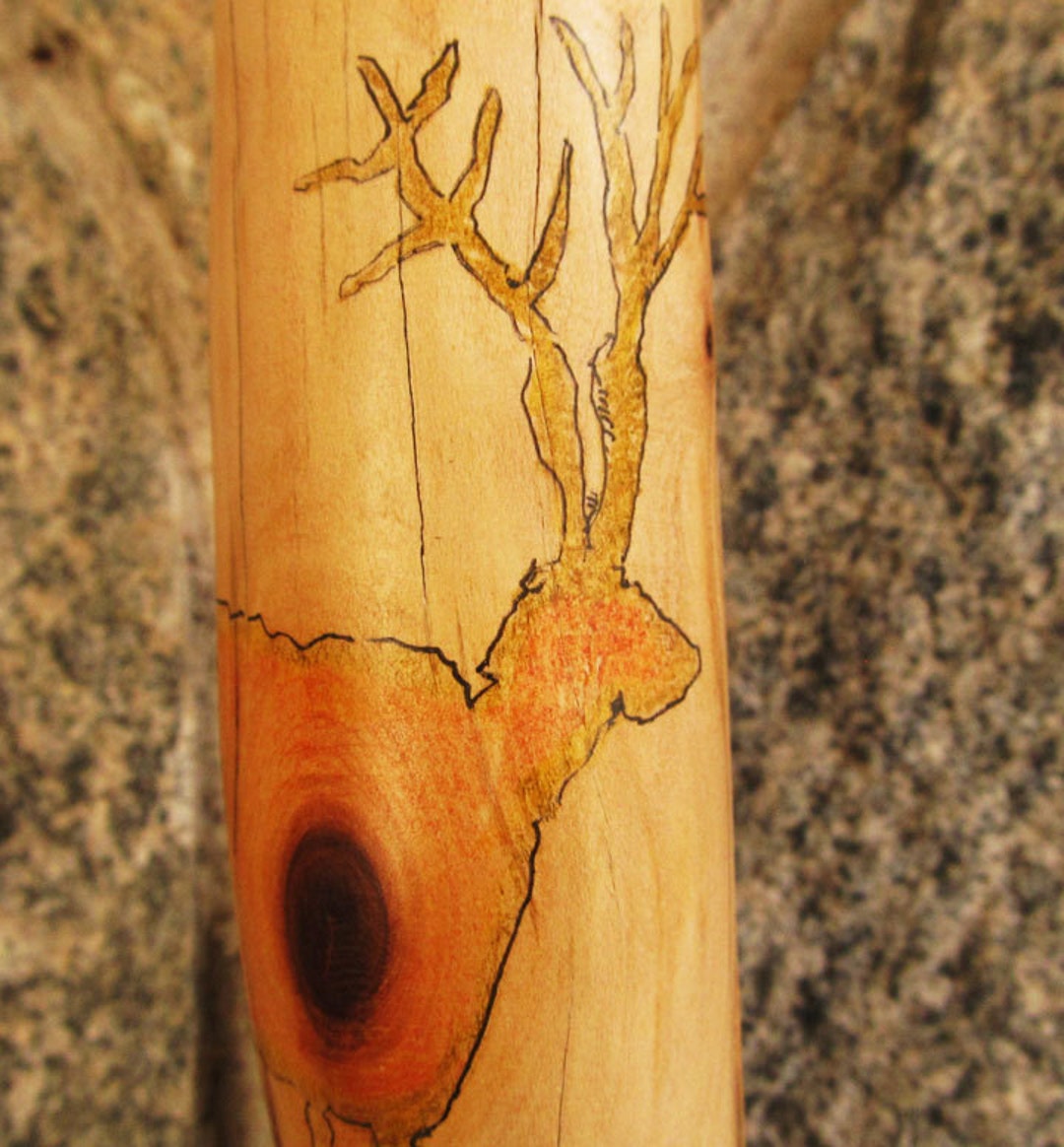 Chaco Canyon Walking Stick - Etsy