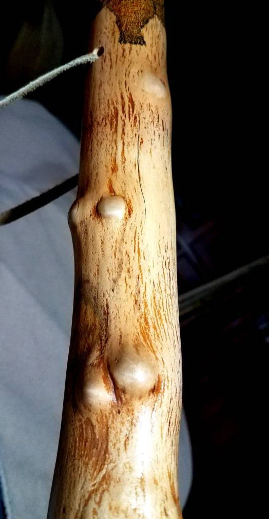 The Bears Hiking Stick - Etsy