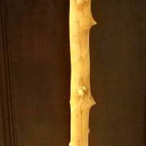 The Bears Hiking Stick - Etsy