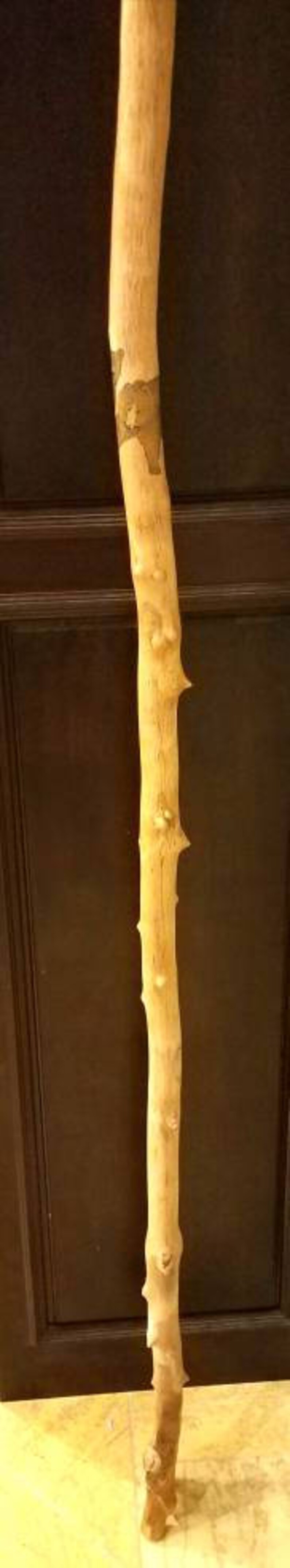 The Bears Hiking Stick | Etsy