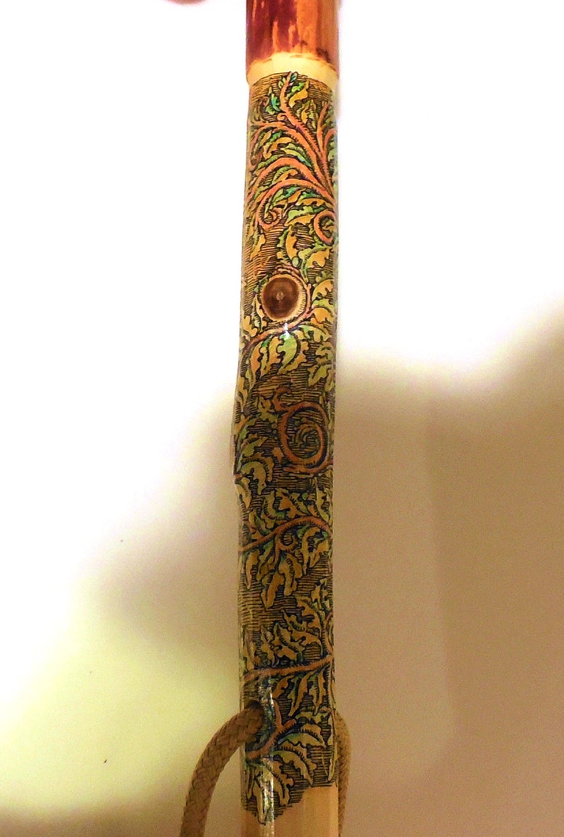 Special Fern Wood Walking Stick | Etsy