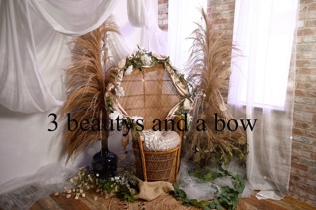 Boho in the Studio Digital Background - Etsy