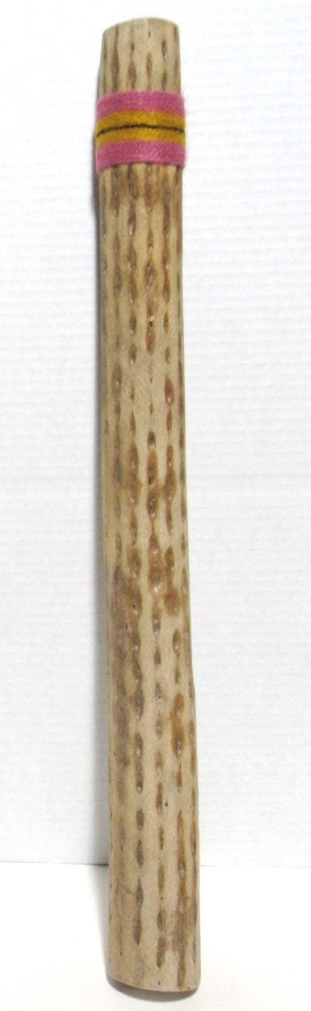20 Cactus Rain Stick Made in Chile - Etsy