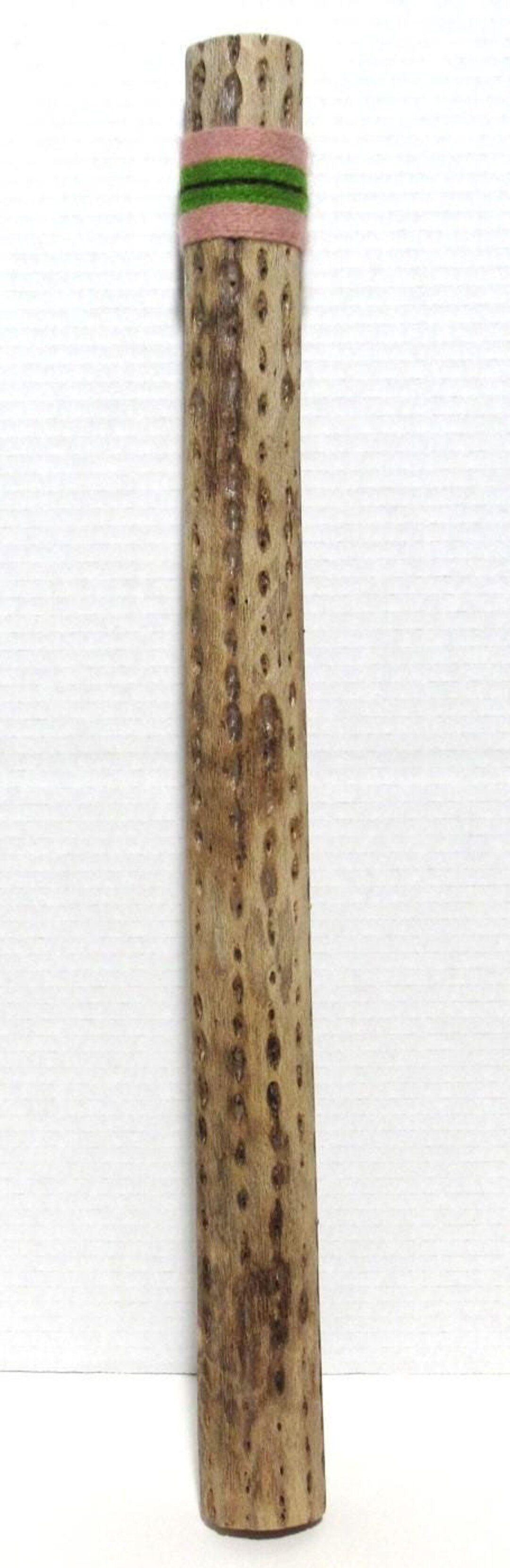 20 Cactus Rain Stick Made in Chile - Etsy