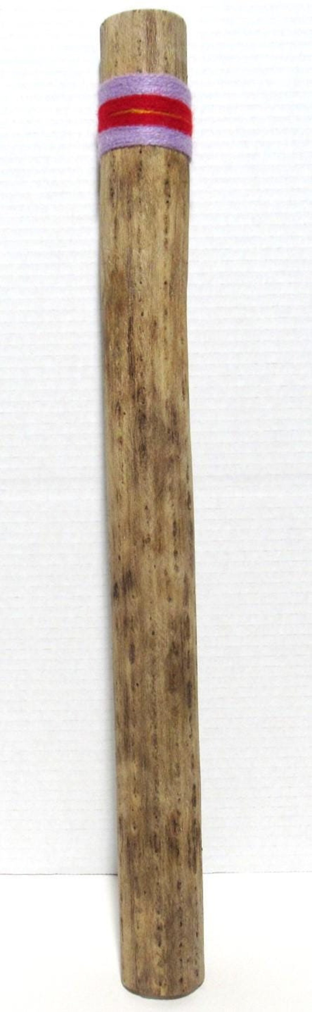 20 Cactus Rain Stick Made in Chile - Etsy