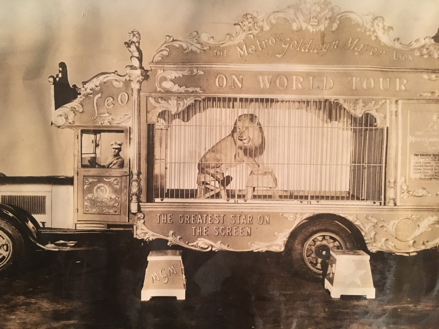 Rare Hollywood Antique Vintage Original Photograph of MGM Leo the Lion ...