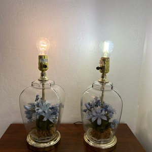 Pair of Glass Terrarium Lamps - Etsy