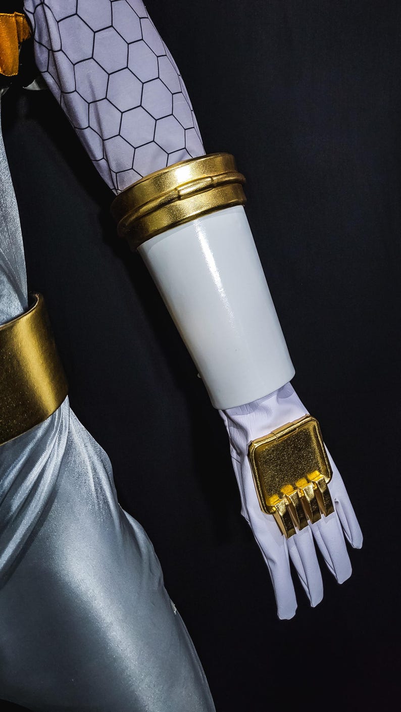 Kyoryuger Silver Ranger Costume: CUSTOM SIZE for Cosplay - Etsy