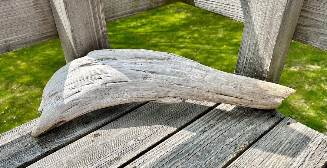Whitewashed Maine Driftwood Large Arched Fish Shaped - Etsy