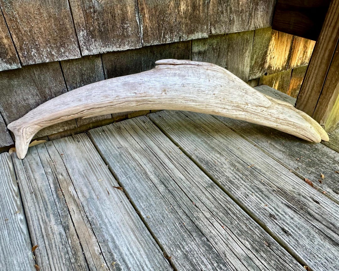 Whitewashed Maine Driftwood Branch: Arched Fish Shape, 26 Inch - Etsy