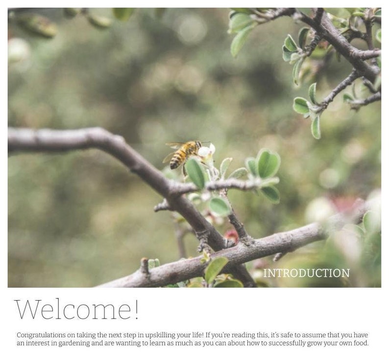 Companion Planting Ebook Digital Download - Etsy