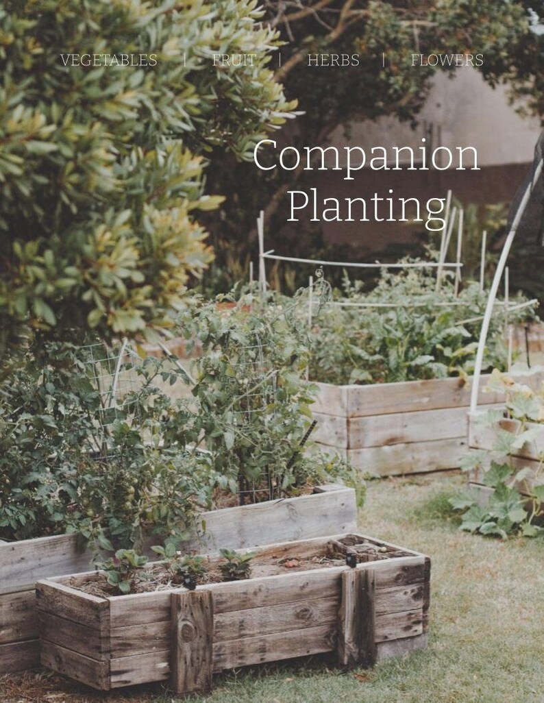Companion Planting Ebook Digital Download - Etsy