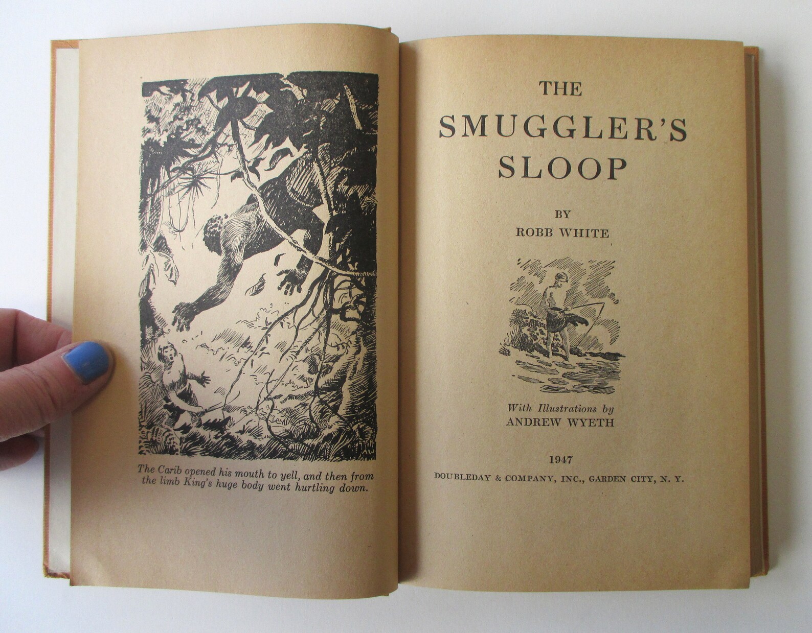 Andrew Wyeth Illustrated Novel: the Smuggler's Sloop, Caribbean ...