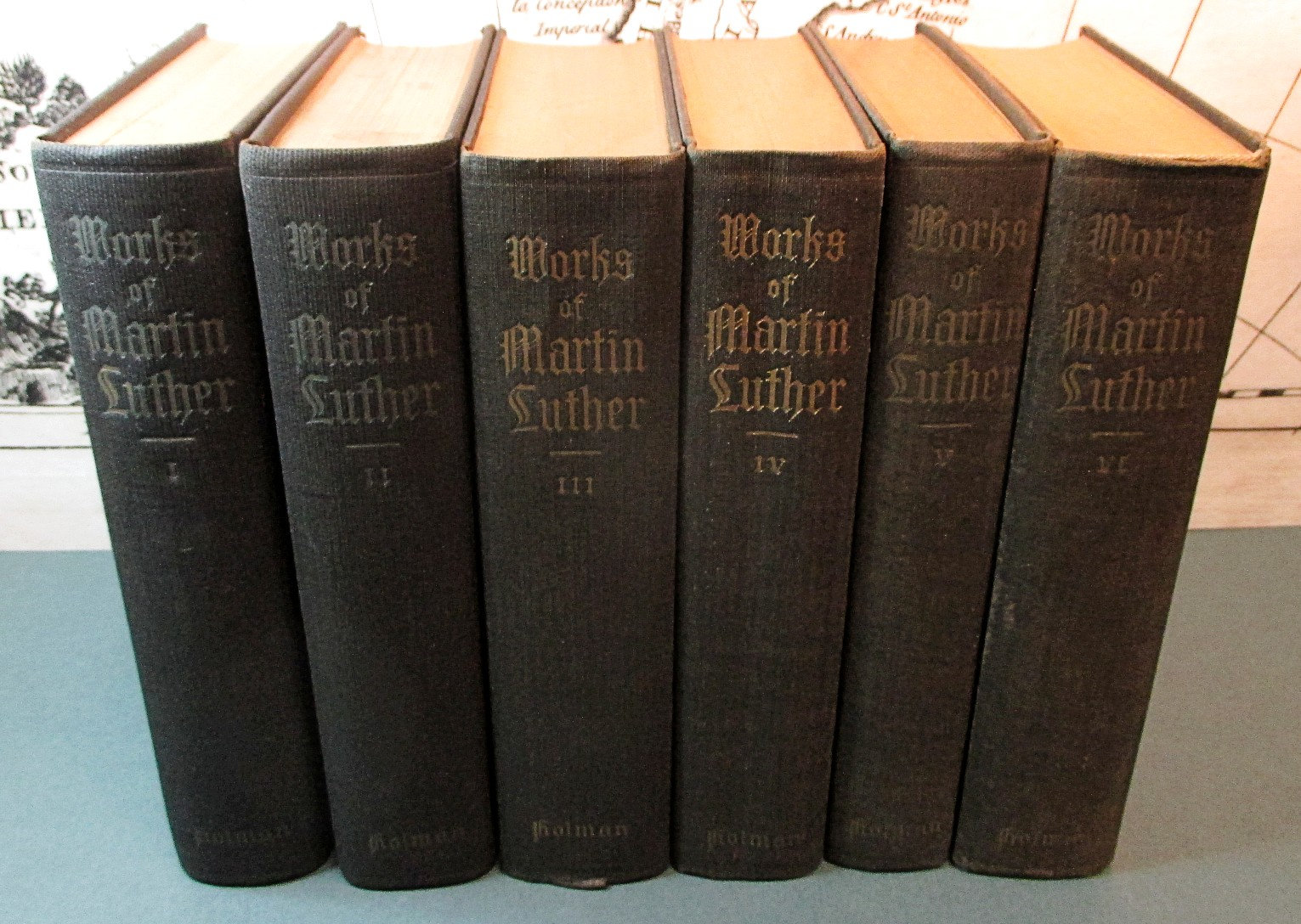 Martin Luther Book