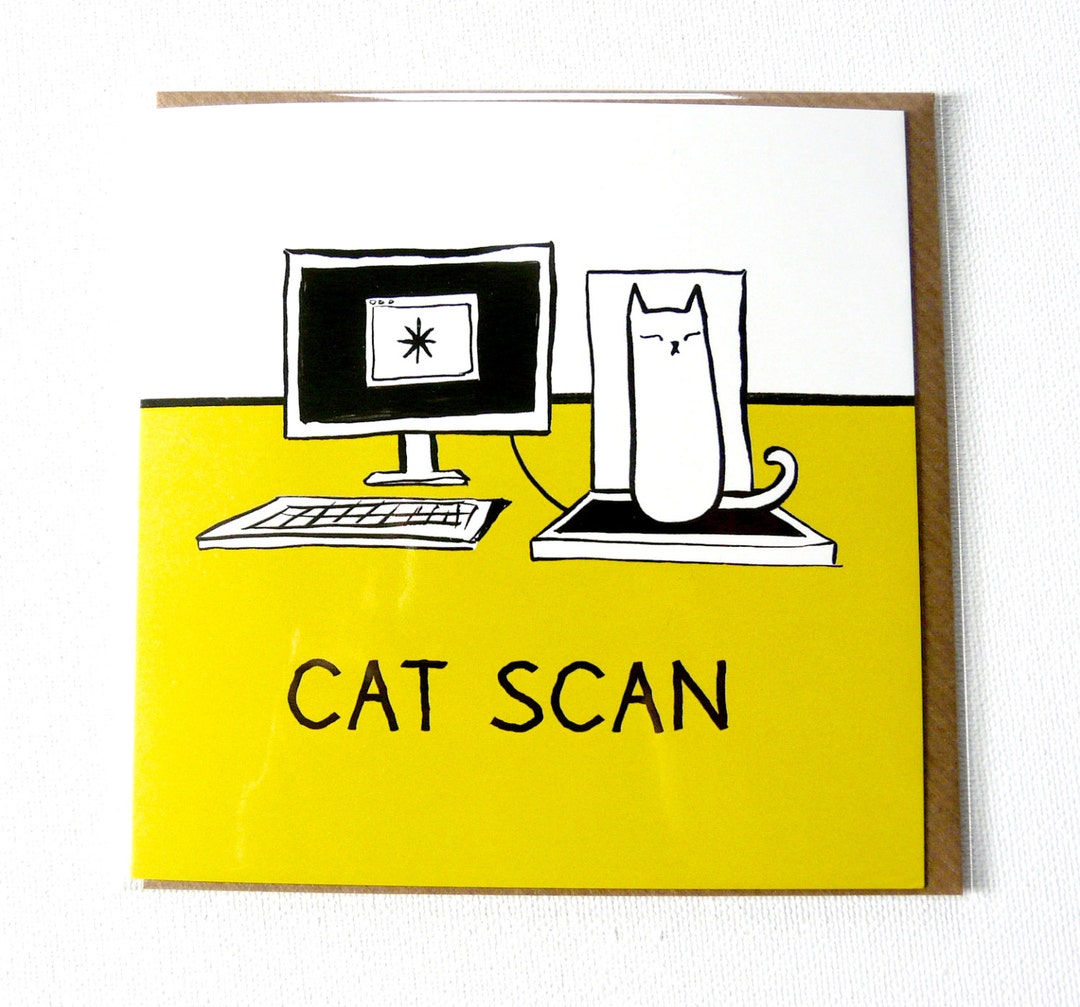 CAT SCAN. Funny Illustrated Everyday Birthday Card Cat Pun. - Etsy