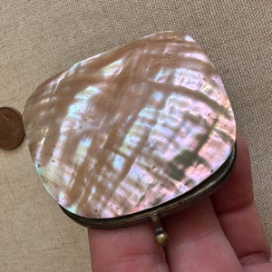 Miniature Vintage/antique Mother of Pearl/abalone Coin Purse Chatelaine ...