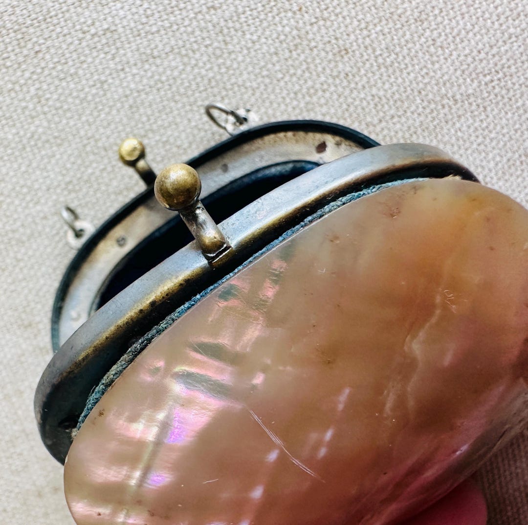 Miniature Vintage/antique Mother of Pearl/abalone Coin Purse Chatelaine ...