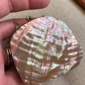 Miniature Vintage/antique Mother of Pearl/abalone Coin Purse Chatelaine ...