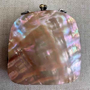 Miniature Vintage/antique Mother of Pearl/abalone Coin Purse Chatelaine ...