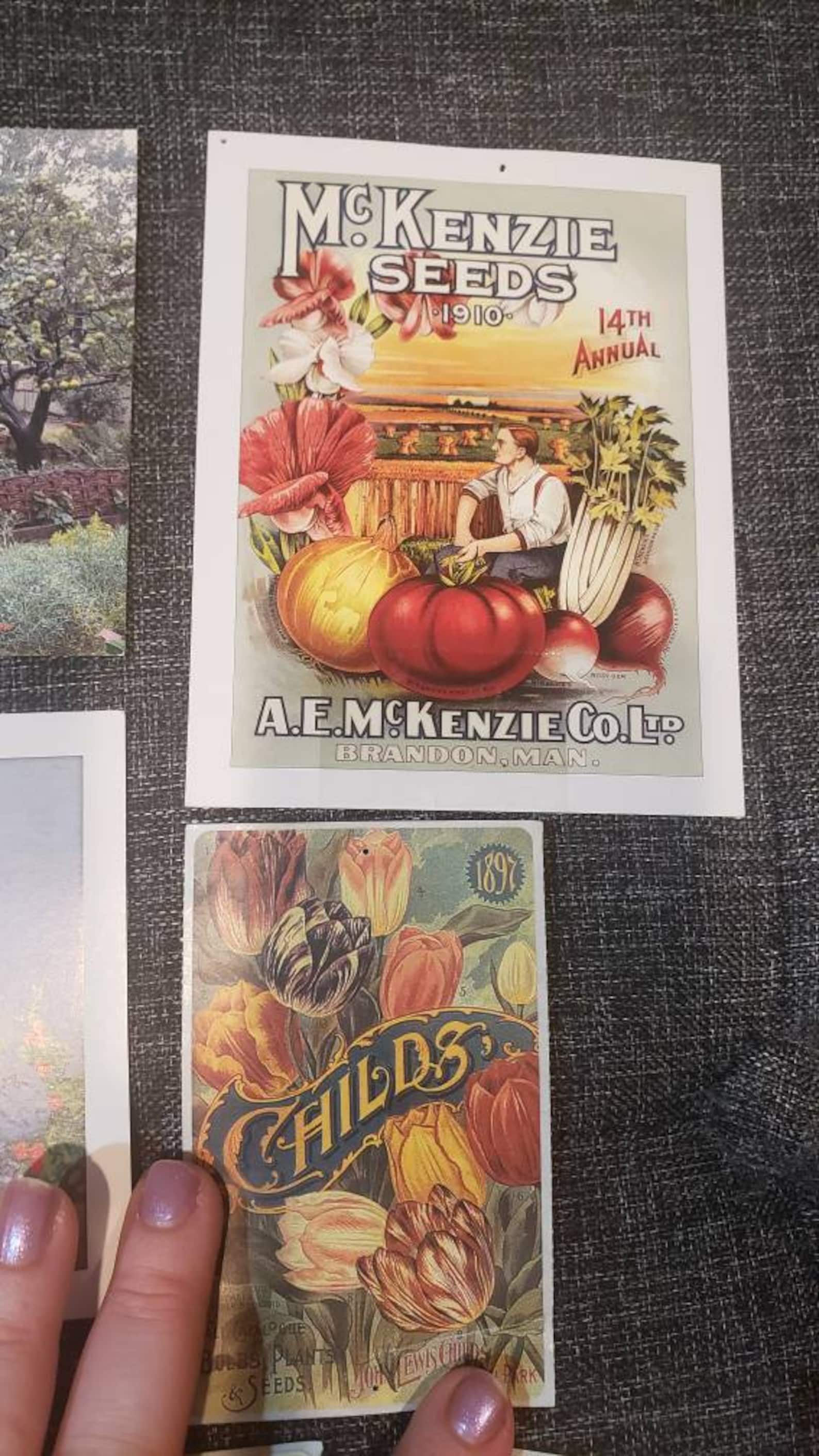 Vintage Seeds Posters Ads Reproduction Postcards Tapestry - Etsy