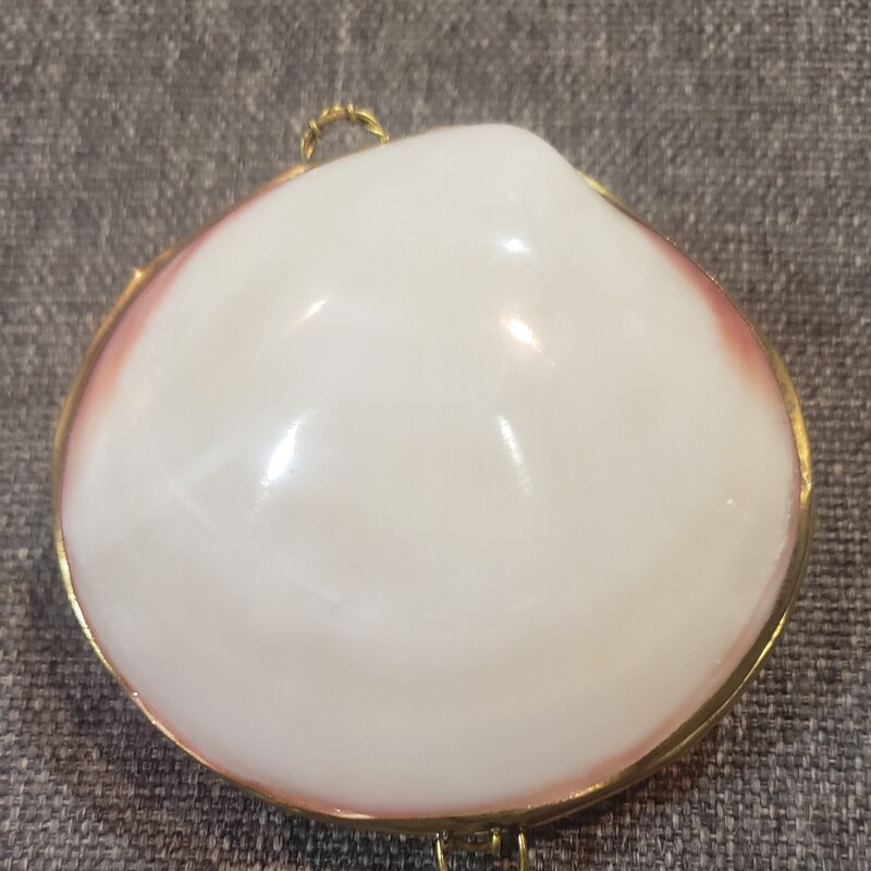 Shell Coin Purse - Etsy