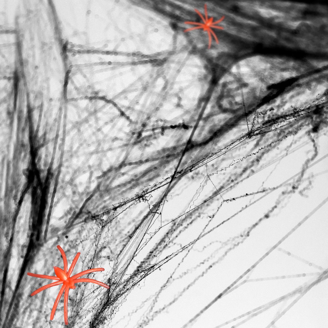 Halloween BLACK SPIDERS WEB | Halloween Decorations | Halloween Party ...
