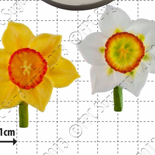 Xmas Silicone Mould mold 'robin' by FPC Sugarcraft - Etsy