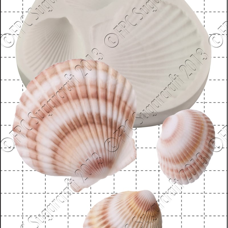 Shell Mold - Etsy