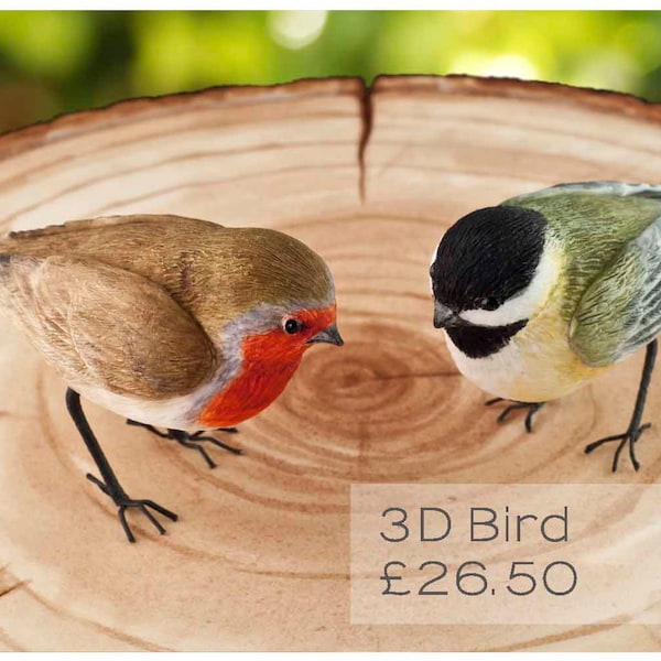 Resin Bird Mold - Etsy