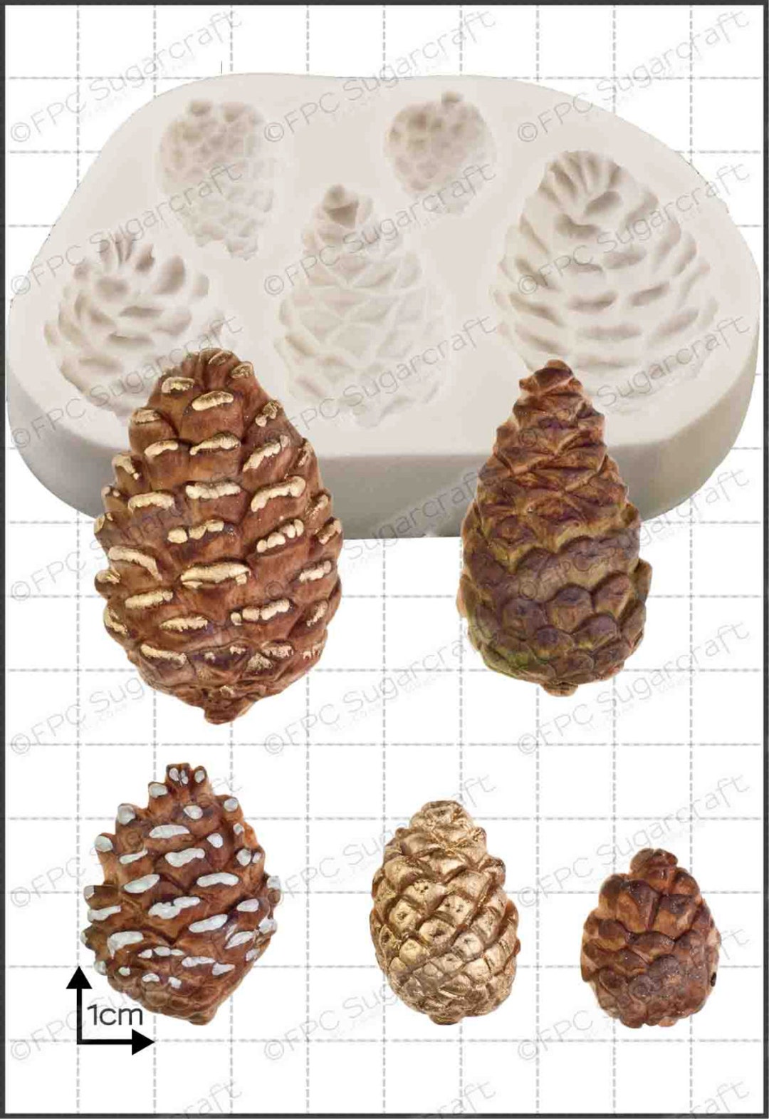 Pine Cones Silicone Mould (mold) - 'pine Cones' by FPC Sugarcraft ...
