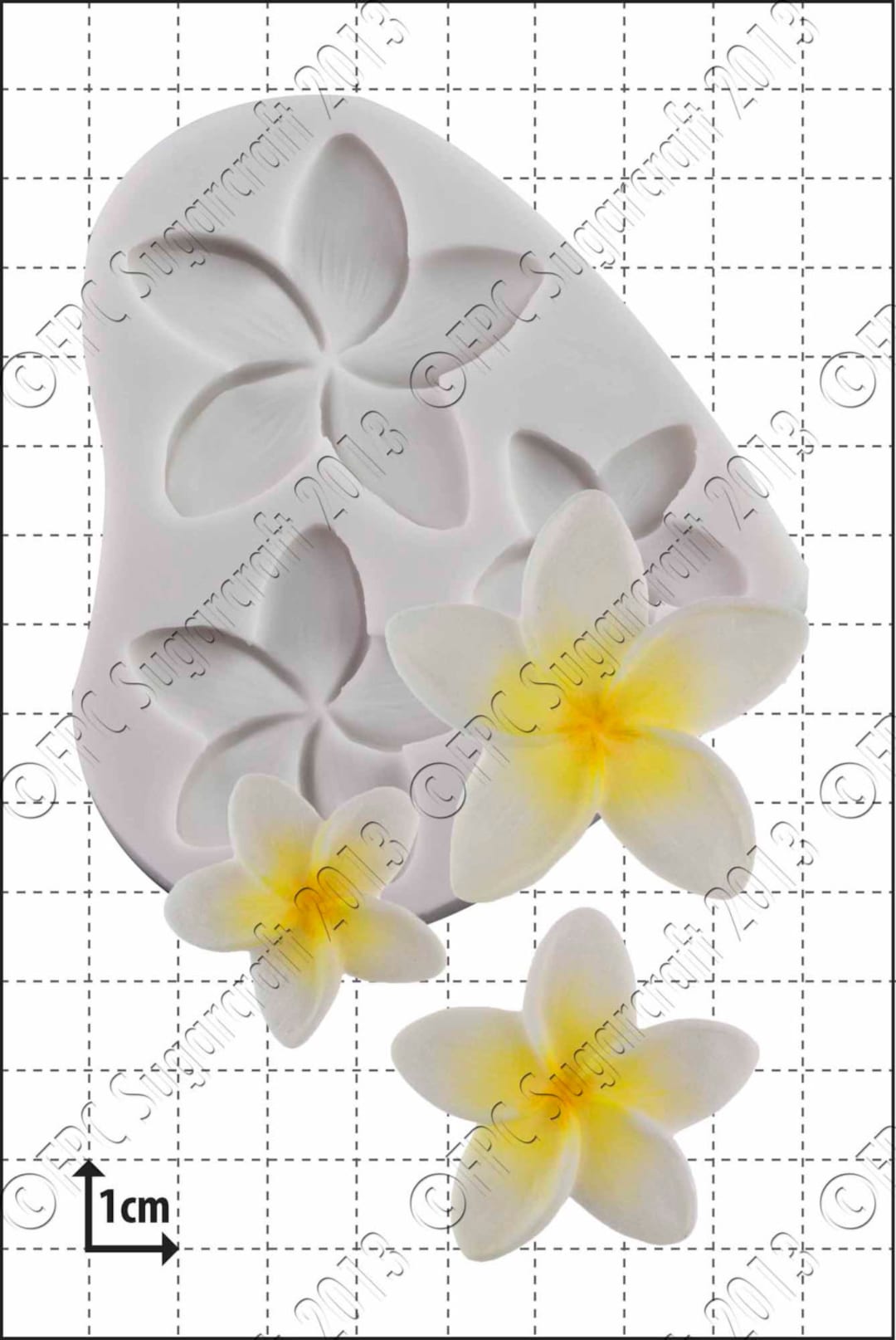Frangipani Silicone Mould (mold) - 'frangipani' by FPC Sugarcraft ...