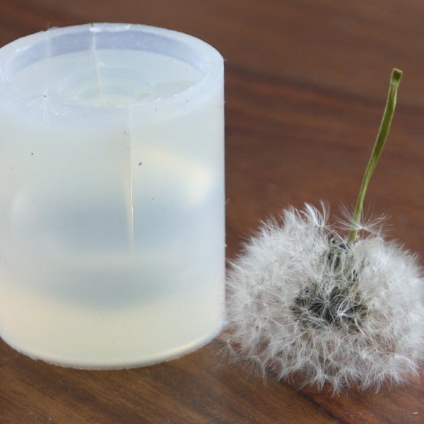 Dandelion in Resin - Etsy