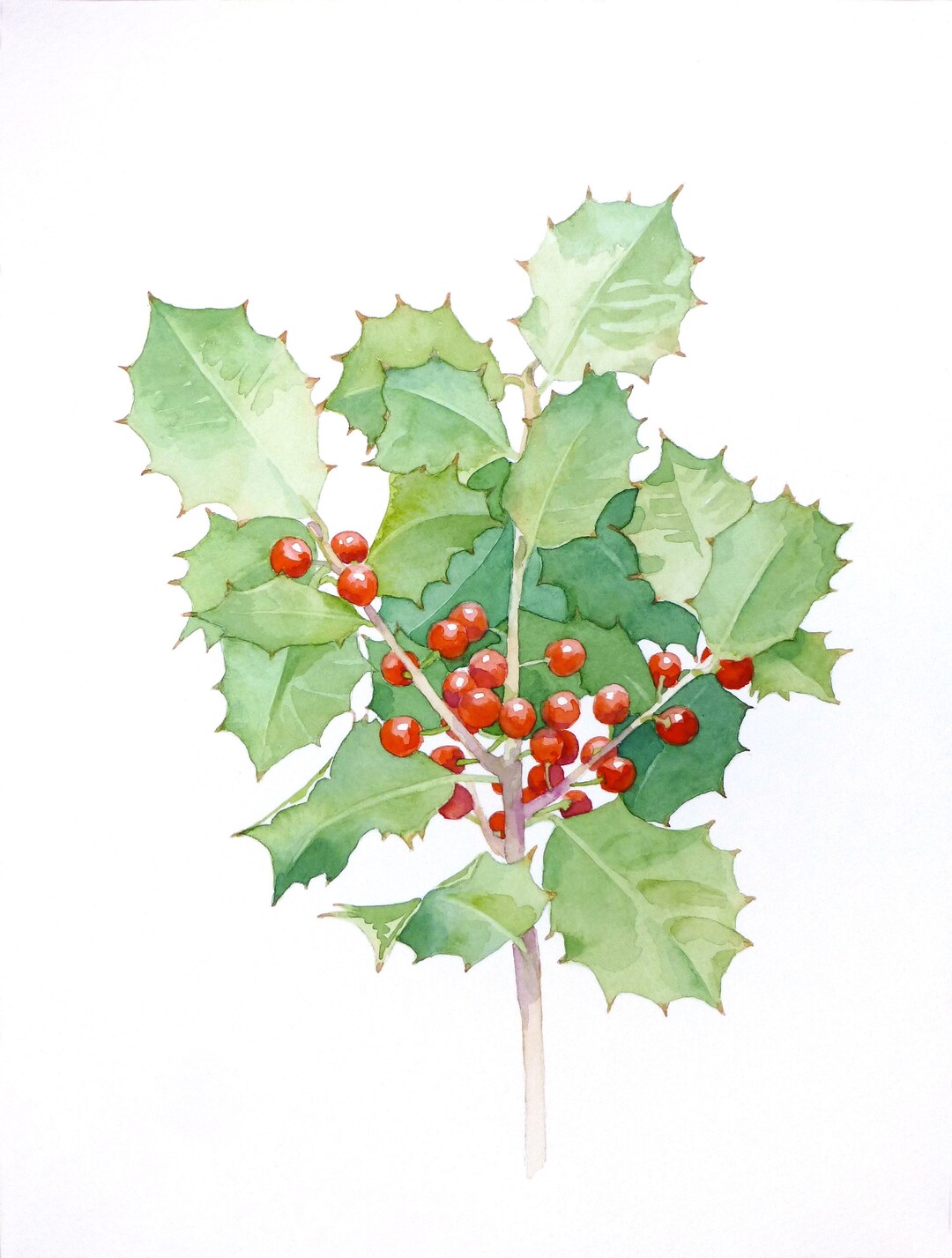 Holly Berries Original Watercolor Painting | Christmas | Winter Holiday ...