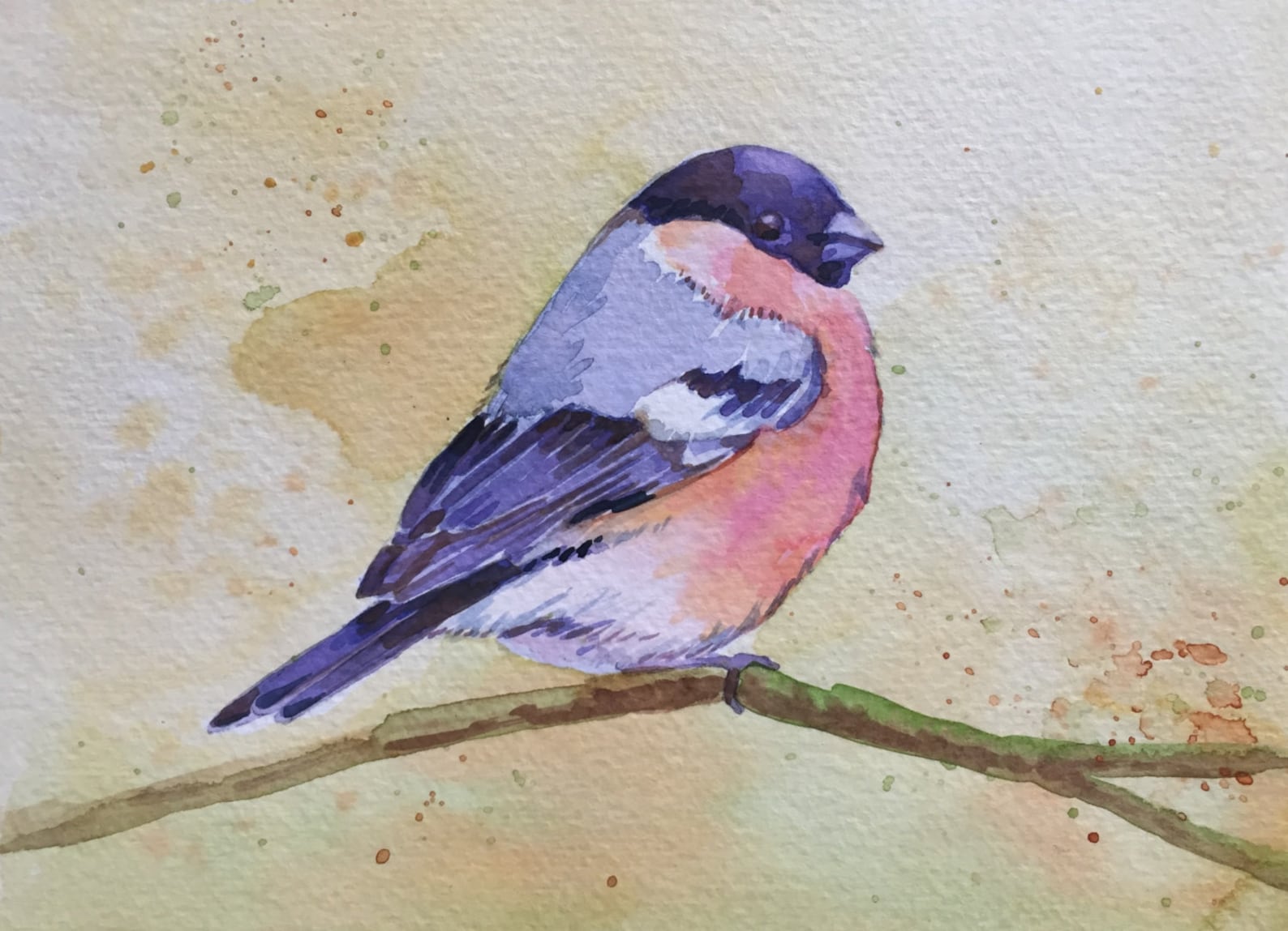 Original Watercolor Songbird Painting - Etsy