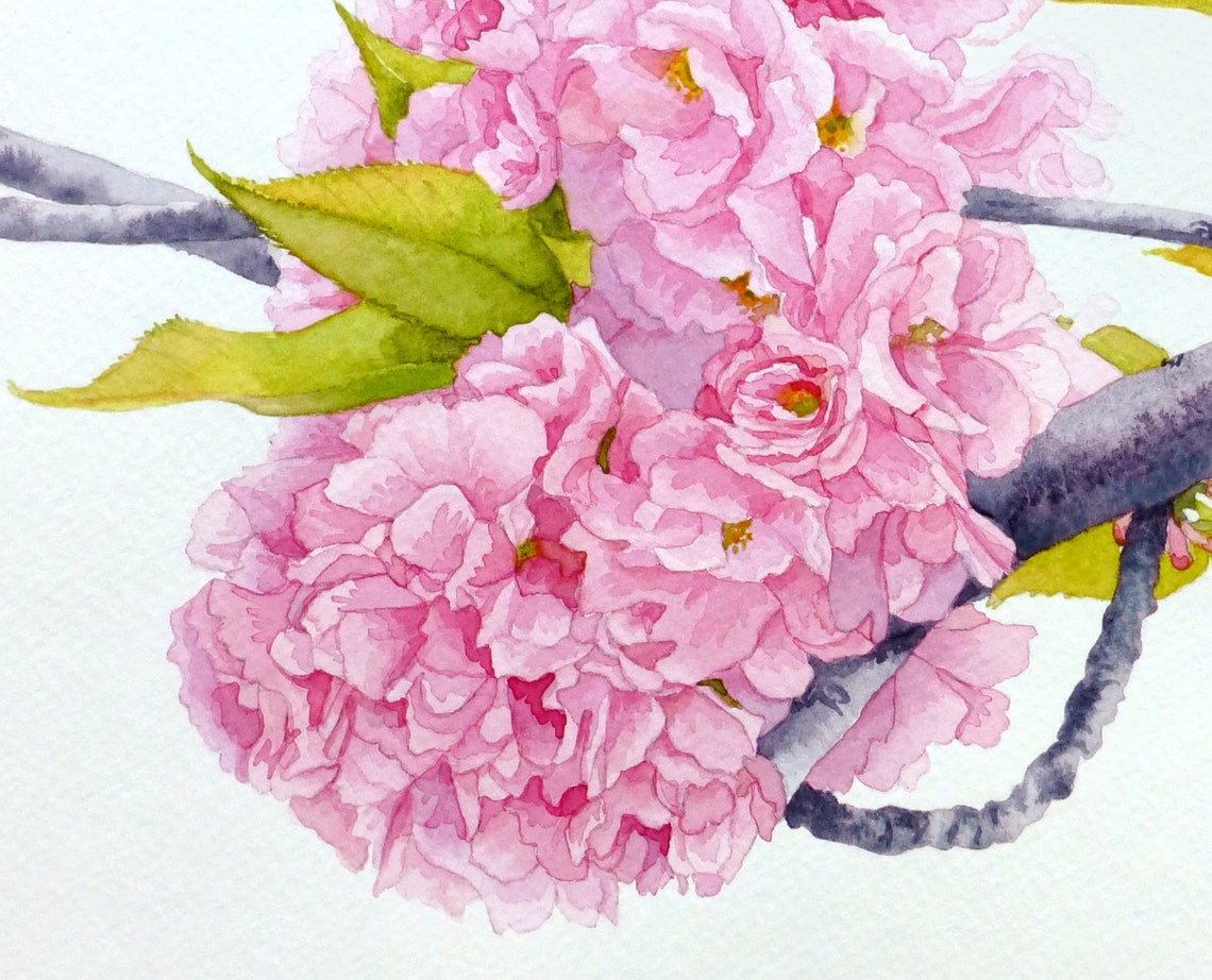 Cherry Tree Blossom Original Watercolor Painting Japanese | Etsy