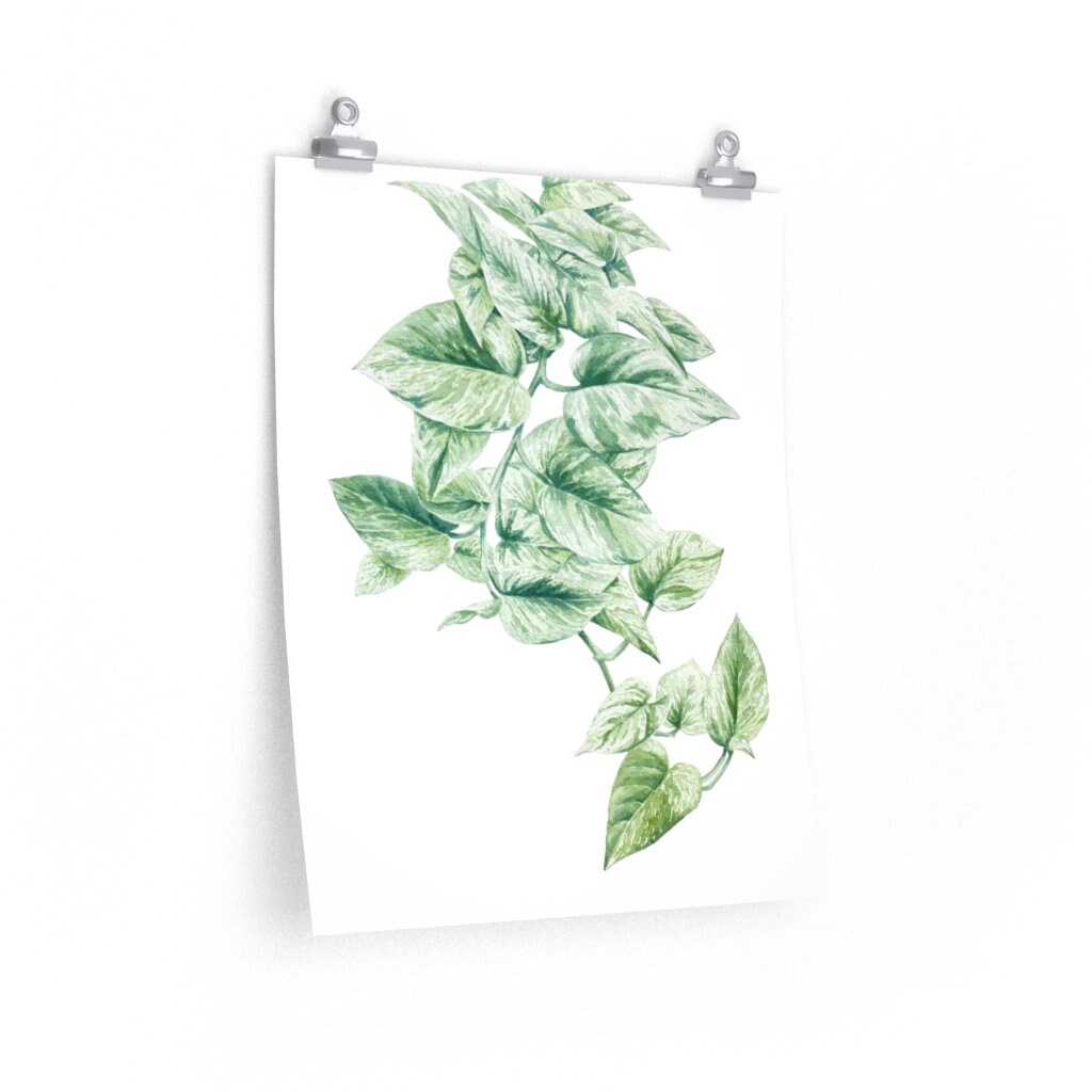 Marble Queen Pothos Watercolor Print - Houseplant Painting - Etsy