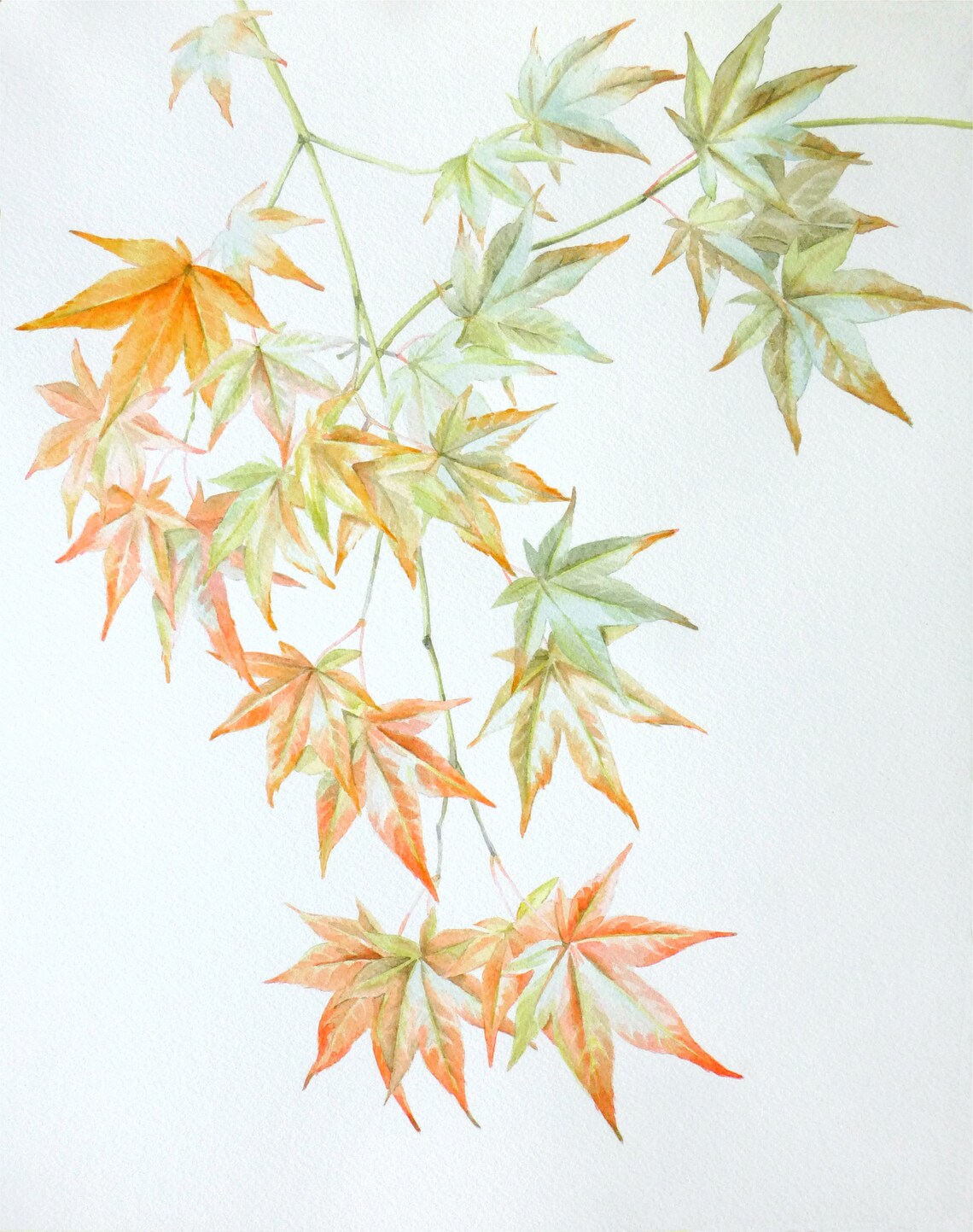 Orange Fall Foliage Original Watercolor Painting Washington | Etsy