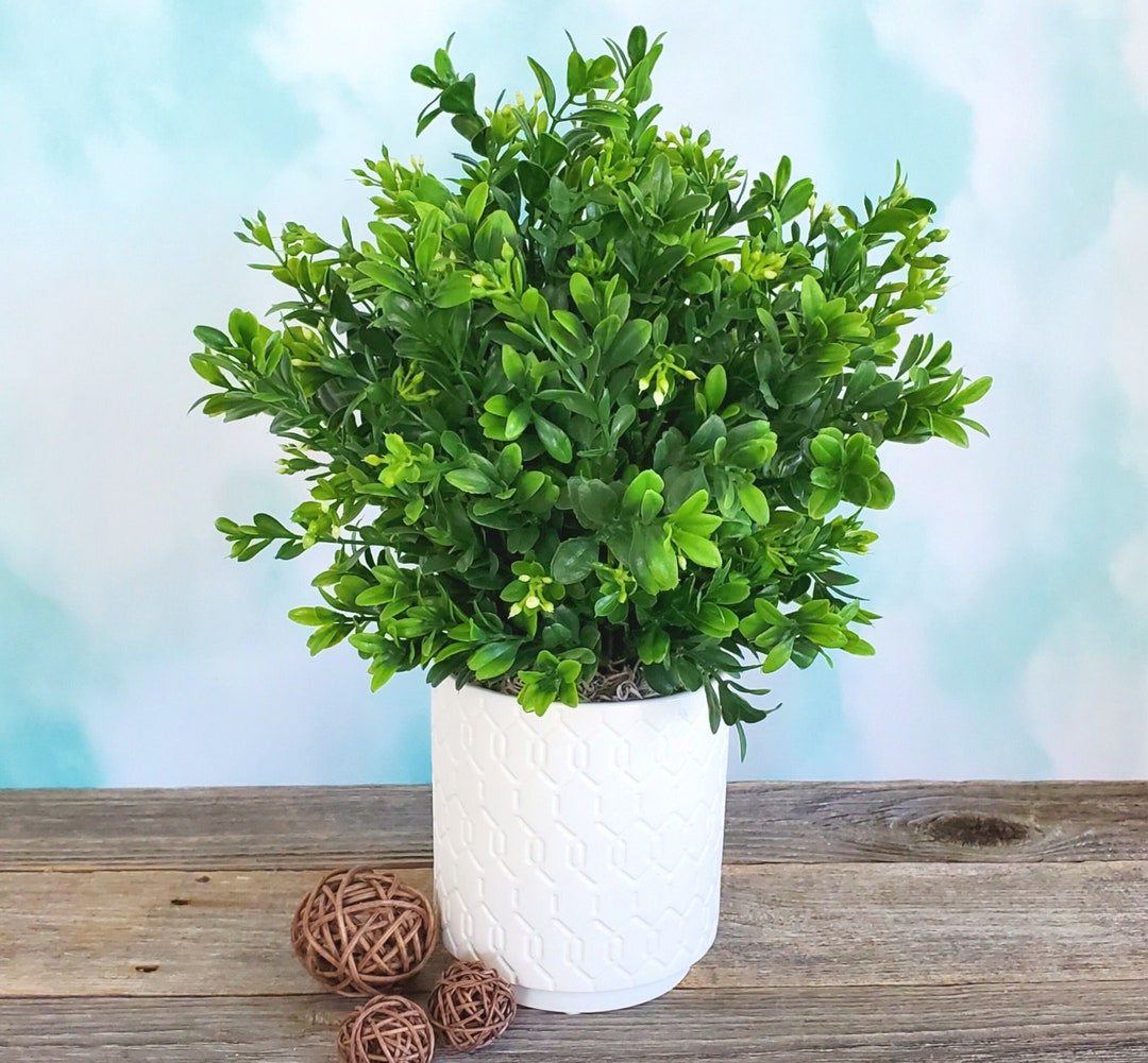 Greenery in Matte White Planter Mid-century Modern Style 13 Tall ...