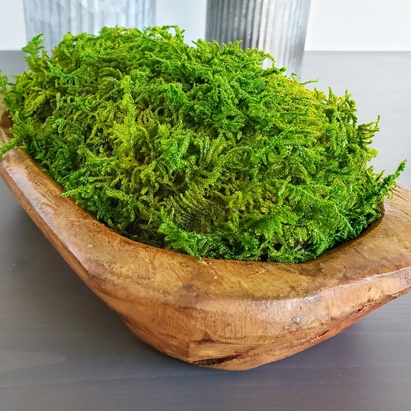 Moss Table Decor - Etsy