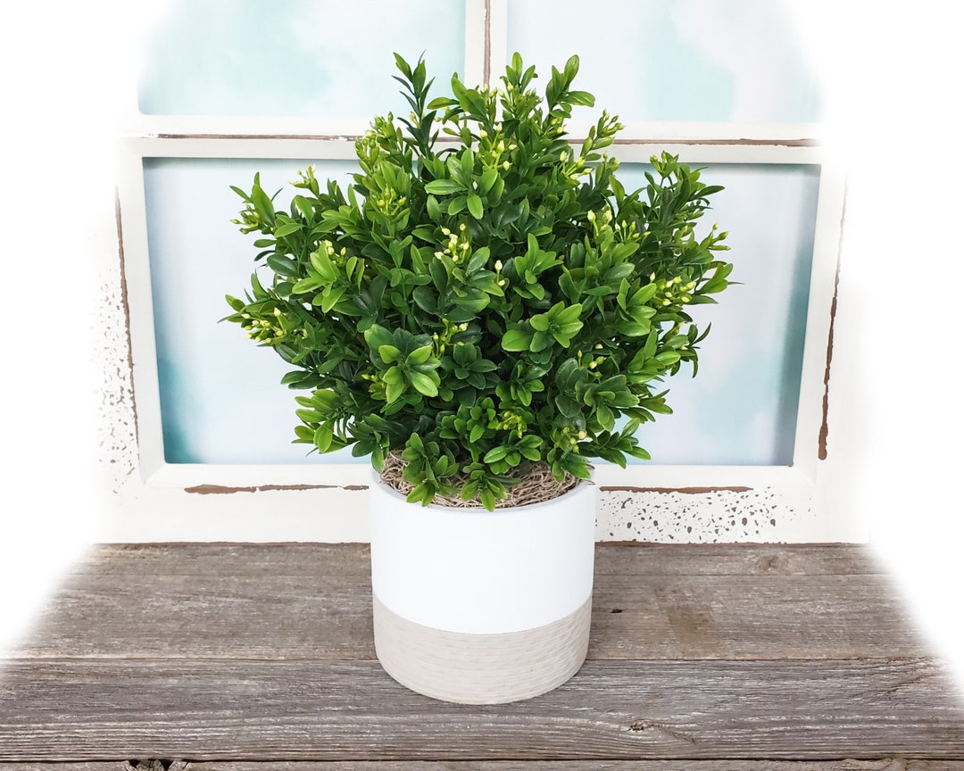 Greenery Arrangement, White + Gray Concrete Planter, Industrial Office ...