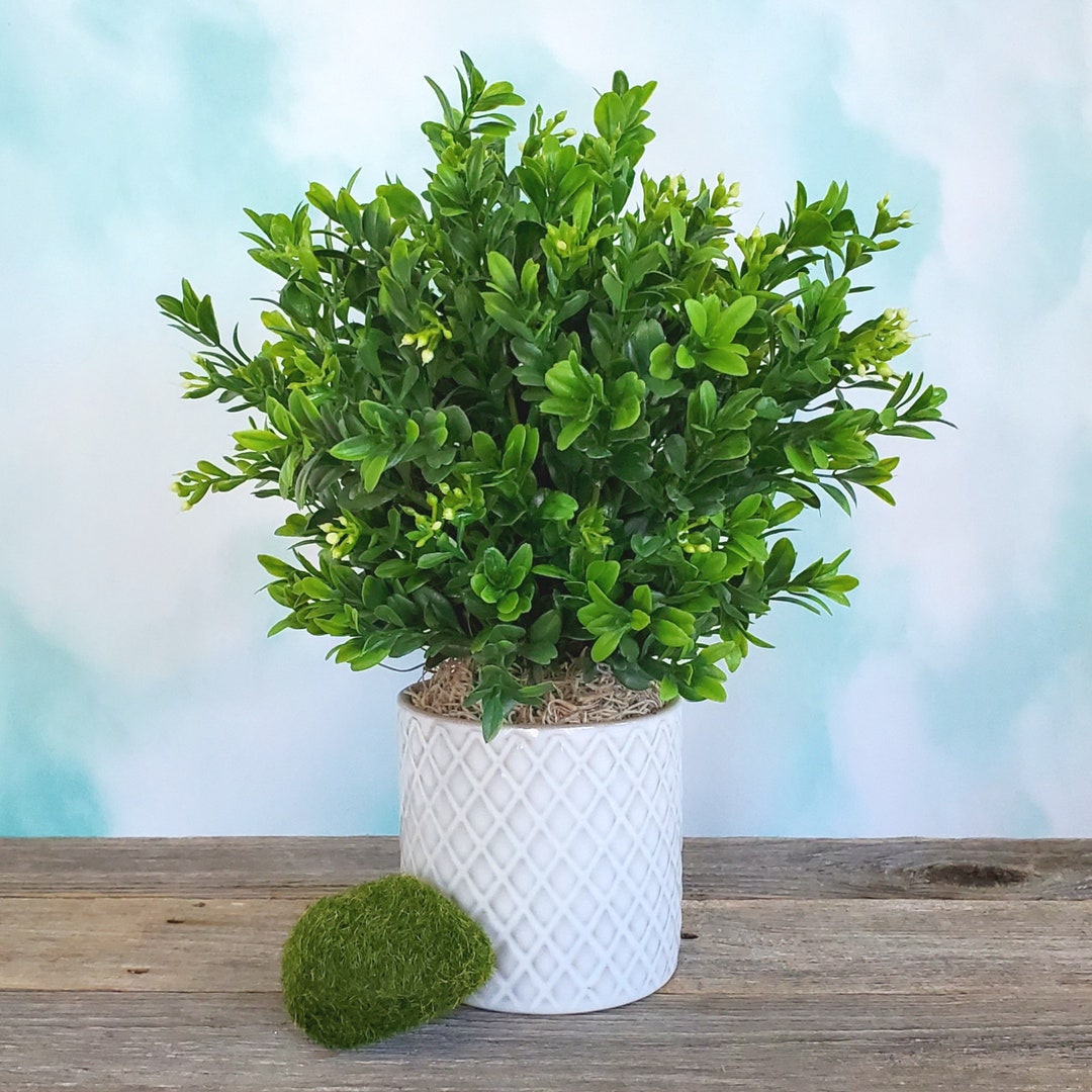 Farmhouse Greenery Planter | Faux Boxwood Arrangement | Artificial ...