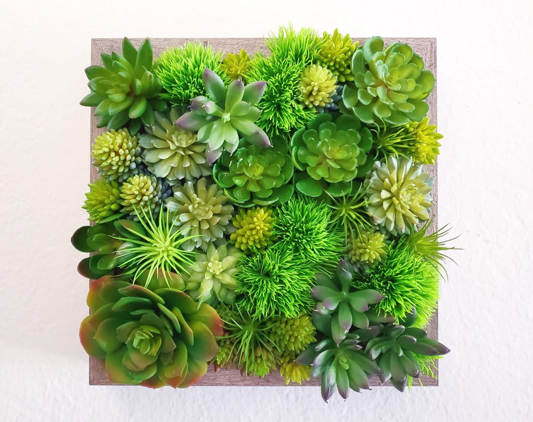 Framed Succulent Wall Hanging Faux Succulents in 10 X 10 Gray Frame ...