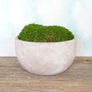 MOSS BOWL CENTERPIECE | Rustic Concrete Bowl With Preserved Forest Moss ...