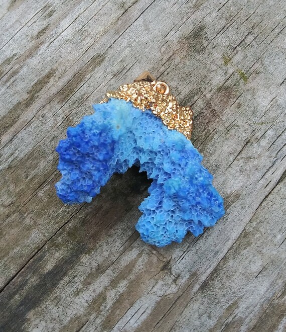 Pacific Coral Fossil /blue/ Coral Fossil Branch /gemstone/ - Etsy