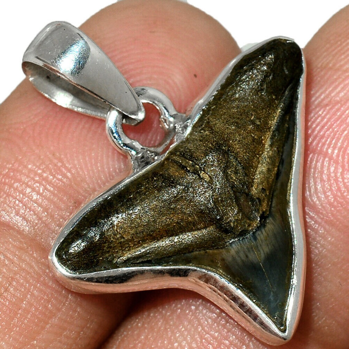 Unique / Dent de requin / Dents de requin authentiques 925 | Etsy