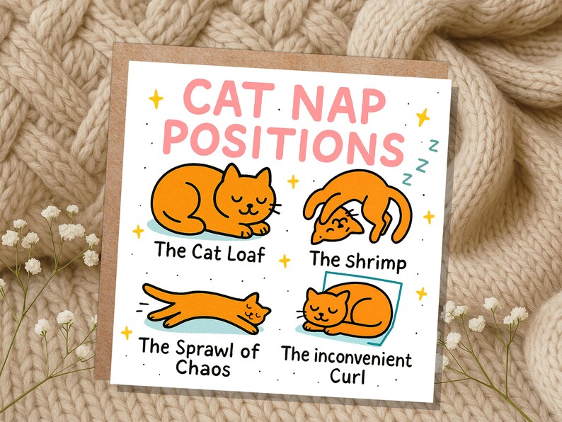 Funny Cat Nap Positions Card | Sleeping Cat Loaf Humour | Relatable ...
