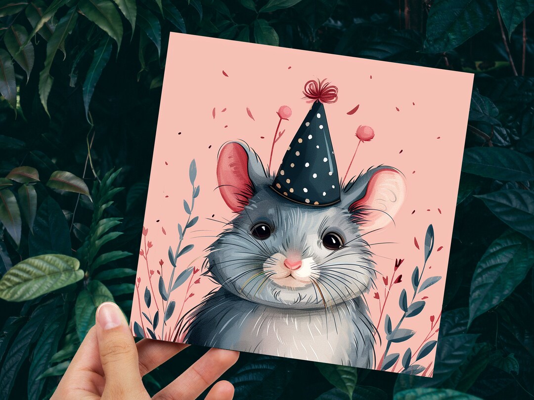 Cute Chinchilla Birthday Card Festive Celebration Party Hat Polka Dots ...