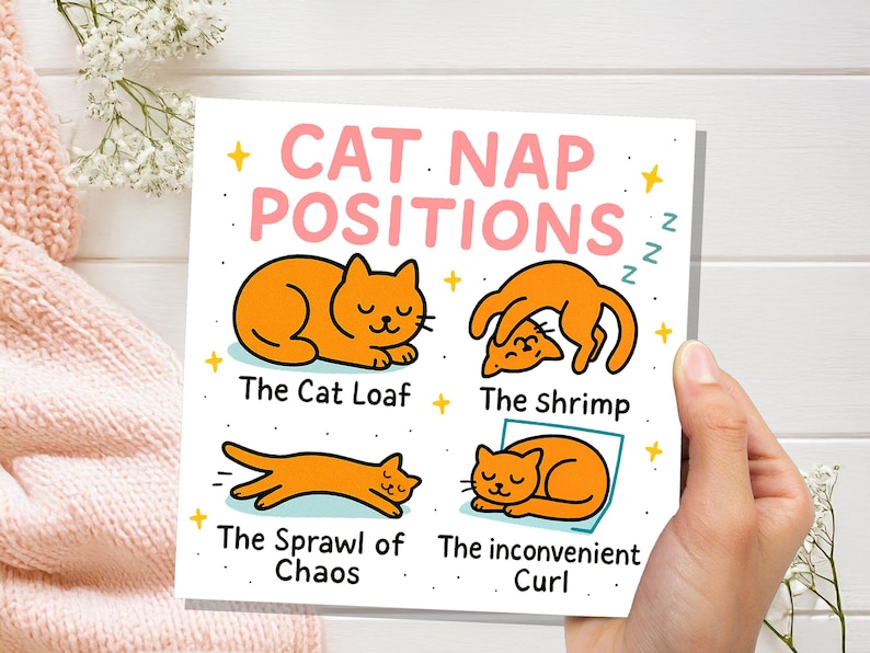 Funny Cat Nap Positions Card | Sleeping Cat Loaf Humour | Relatable ...